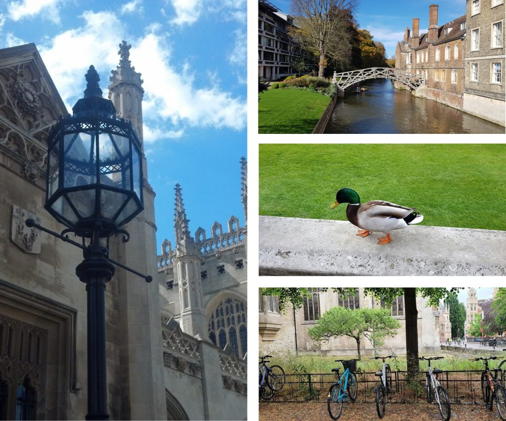 Public Walking Tour of Cambridge: Sights and Highlights - Tangential ...
